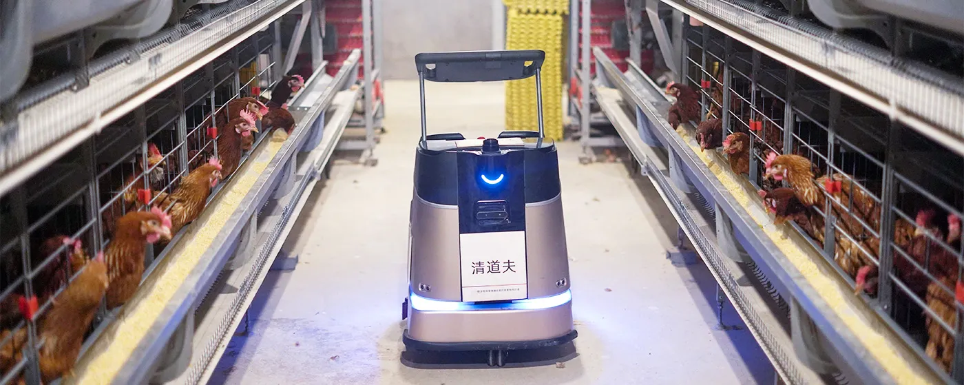 Intelligent Chicken Coop Cleaning Robot